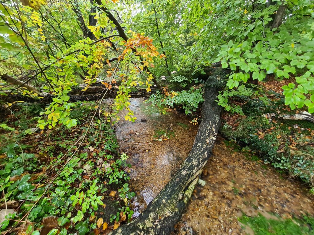 Gallery - Pathmakers