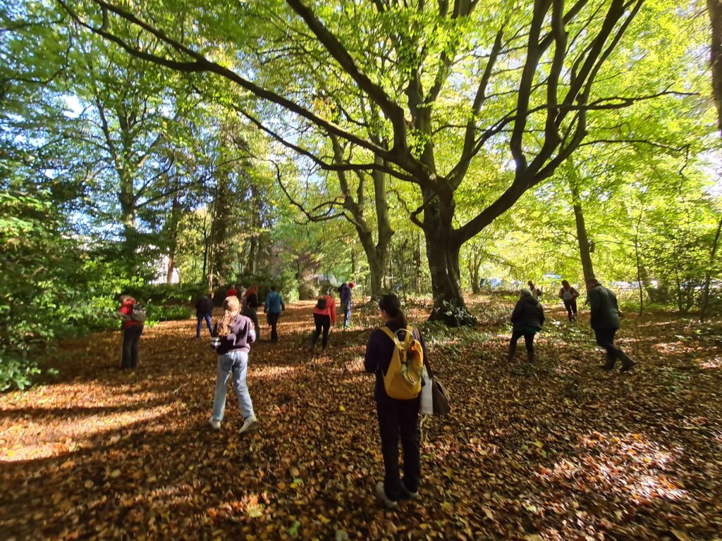 Gallery - Pathmakers