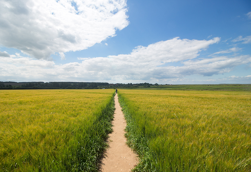 About Us - Pathmakers