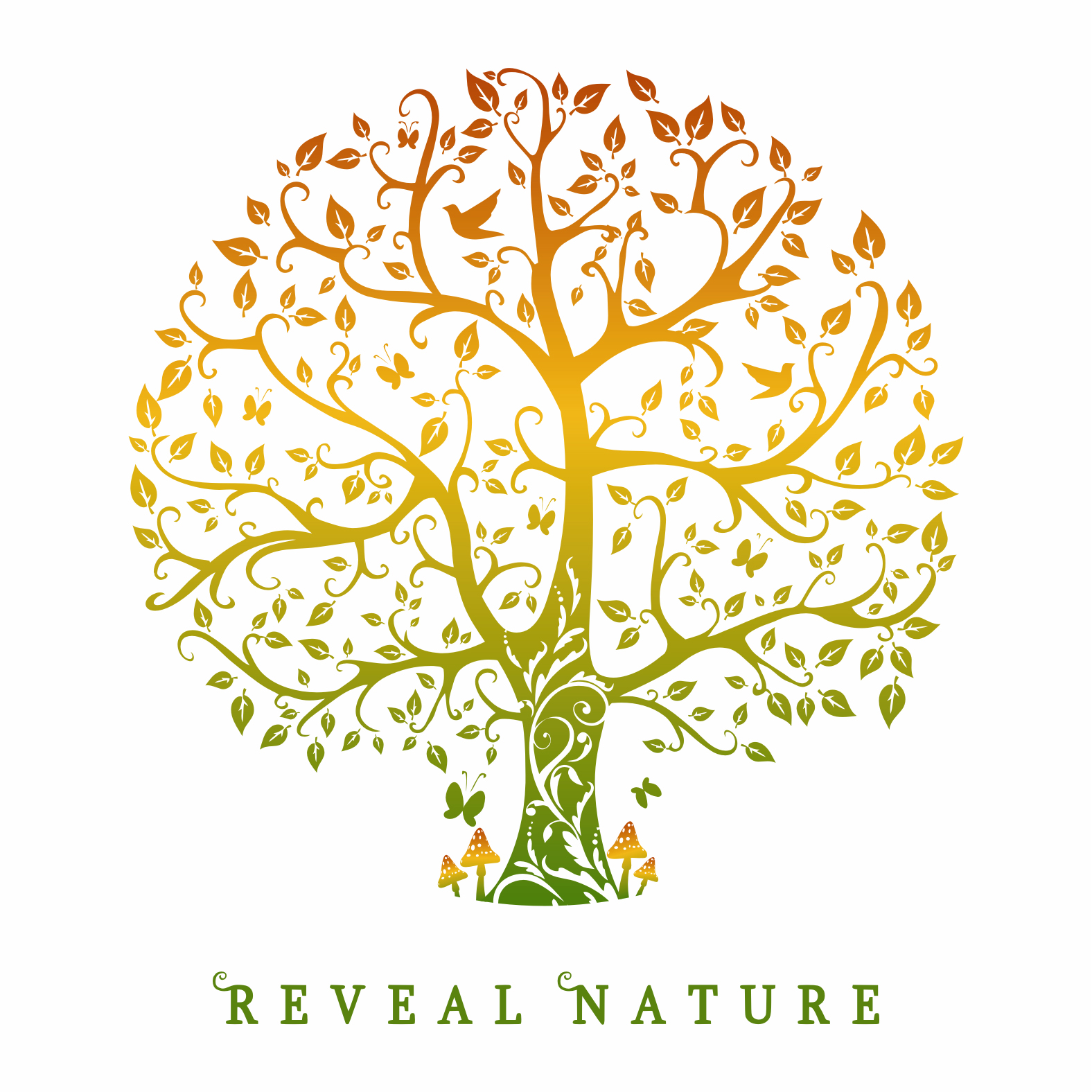 WalkNorfolk - Pathmakers