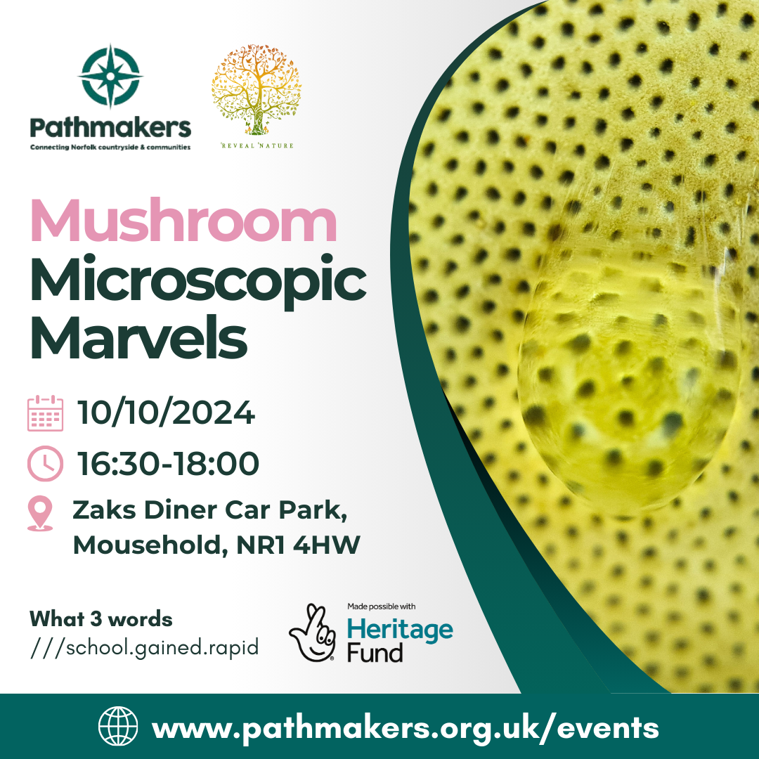 WalkNorfolk - Pathmakers